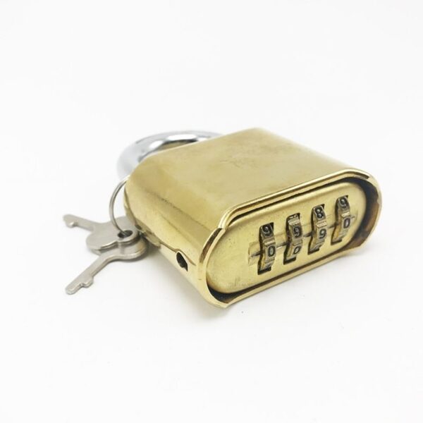 What is a Padlock? Your Essential Guide